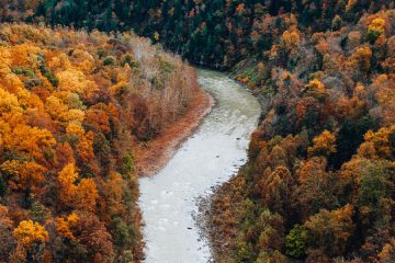 Vibrant Letchworth State Park Fall Foliage | Letchworth Fall Guide ...