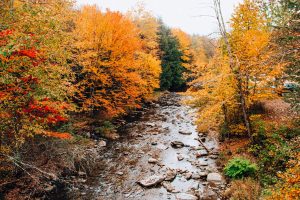 Experiencing Fall in Stowe, Vermont | 10 Festive Things to do in Stowe ...