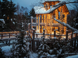 Ultimate Guide to Visiting The Wild Center in Tupper Lake - Come Join ...