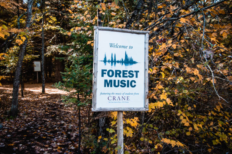 Ultimate Guide to Visiting The Wild Center in Tupper Lake - Come Join ...