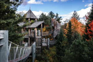 Ultimate Guide to Visiting The Wild Center in Tupper Lake - Come Join ...