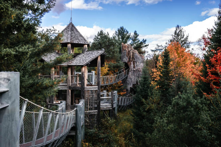 Ultimate Guide to Visiting The Wild Center in Tupper Lake - Come Join ...