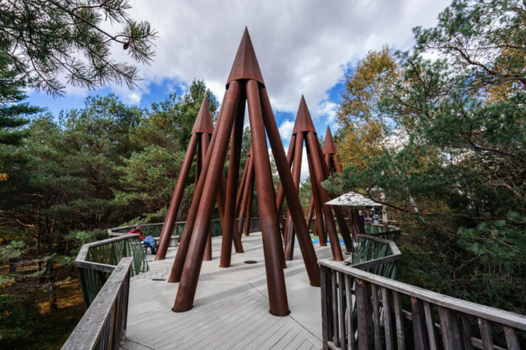 Ultimate Guide to Visiting The Wild Center in Tupper Lake - Come Join ...
