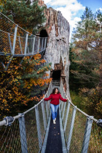 Ultimate Guide to Visiting The Wild Center in Tupper Lake - Come Join ...