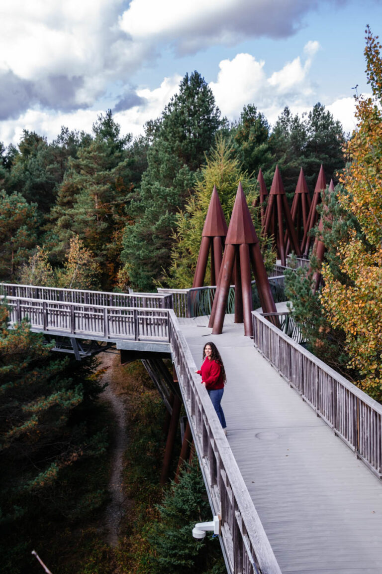 Ultimate Guide to Visiting The Wild Center in Tupper Lake - Come Join ...