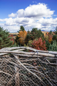 Ultimate Guide to Visiting The Wild Center in Tupper Lake - Come Join ...