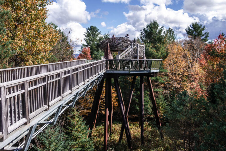Ultimate Guide to Visiting The Wild Center in Tupper Lake - Come Join ...