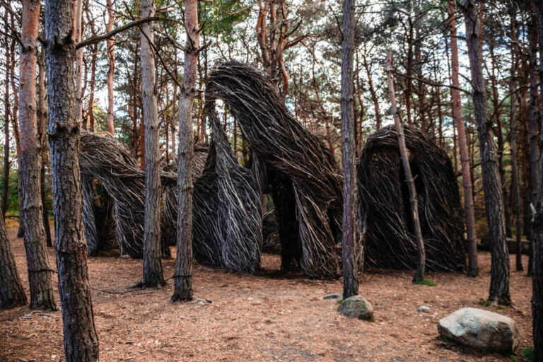Ultimate Guide to Visiting The Wild Center in Tupper Lake - Come Join ...