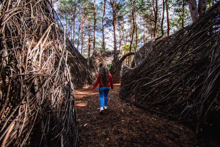 Ultimate Guide to Visiting The Wild Center in Tupper Lake - Come Join ...