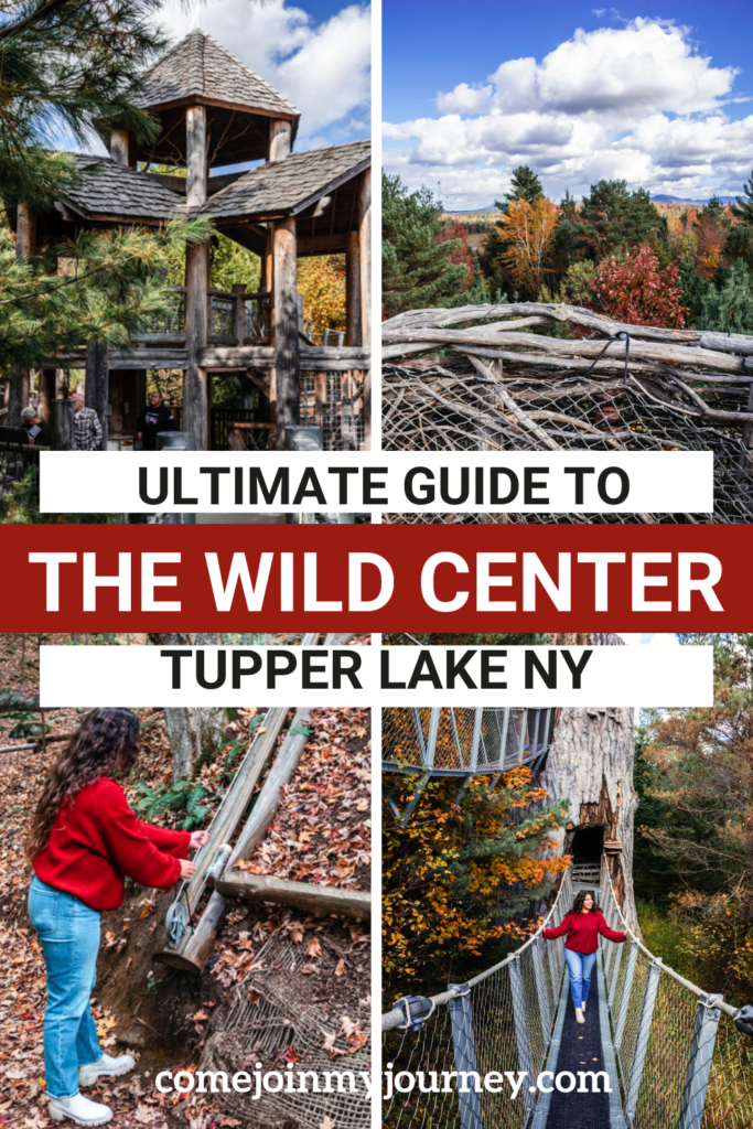 Ultimate Guide to Visiting The Wild Center in Tupper Lake - Come Join ...