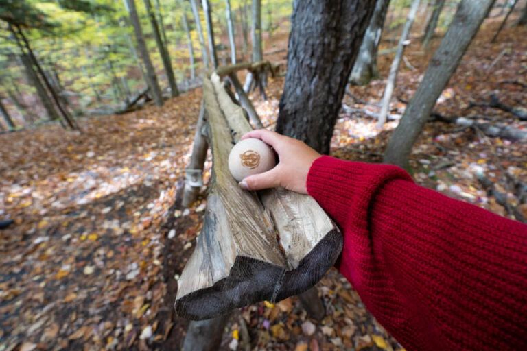 Ultimate Guide to Visiting The Wild Center in Tupper Lake - Come Join ...