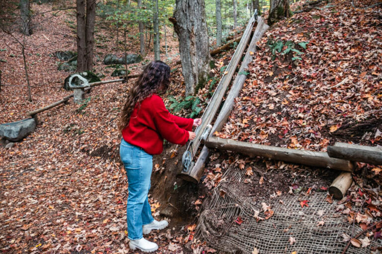 Ultimate Guide to Visiting The Wild Center in Tupper Lake - Come Join ...