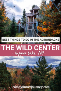 Ultimate Guide to Visiting The Wild Center in Tupper Lake - Come Join ...